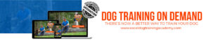 Brisbane Dog Trainer & Obedience Training Classes, All Dogs, All Breeds