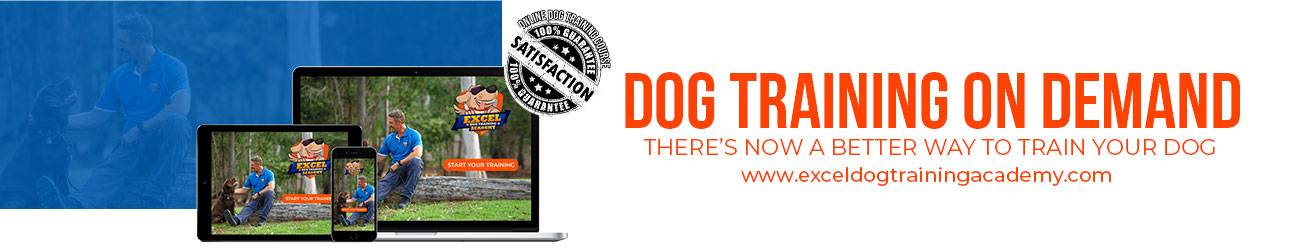 Brisbane Dog Trainer & Obedience Training Classes, All Dogs, All Breeds